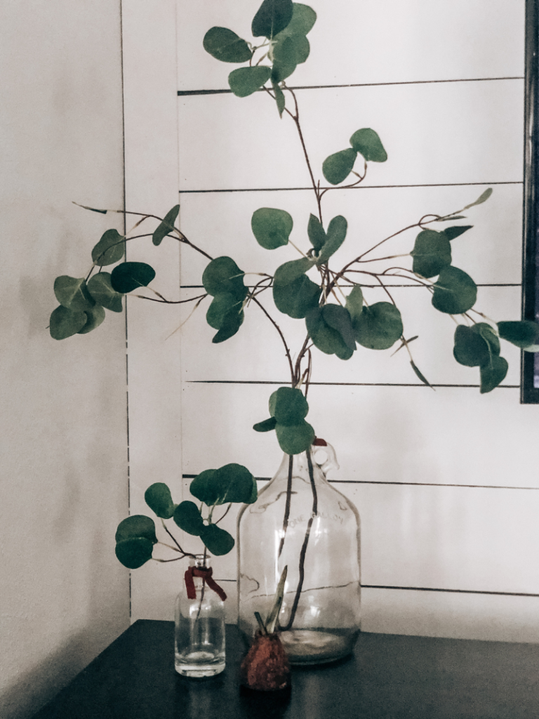 Do It Yourself Shiplap: Get the Popular Trend for Less - The DIY Vibe